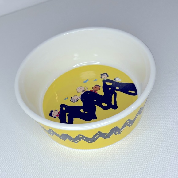 Peanuts | Dog | Peanuts Charlie Brown Snoopy Small Dog Bowl | Poshmark